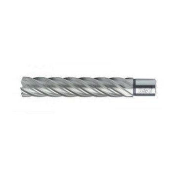 Carota HSS cu prindere Weldon 19 lungime 110mm
