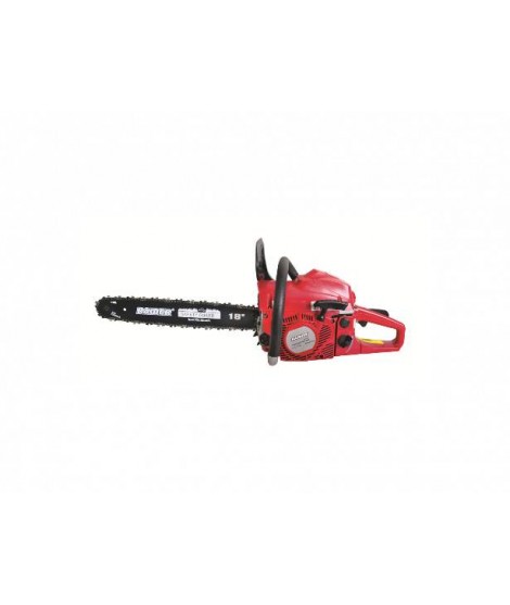 076703 Raider RDP-GCS21 Drujba motofierastrau benzina lant 450mm 3 Cp